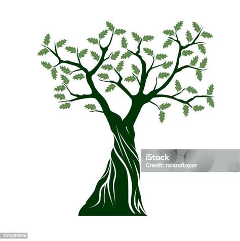 흰색 배경에 녹색 고립 된 오크 나무입니다 벡터 일러스트레이션 및 개념입니다 정원에 심는다 떡갈나무에 대한 스톡 벡터 아트 및