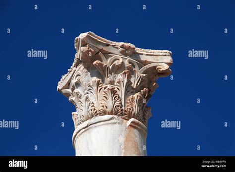Roman Ruins In Tyre Sour Lebanon Stock Photo Alamy