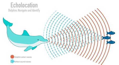 Bio Acoustic Signal Royalty Free Images Stock Photos Pictures Shutterstock