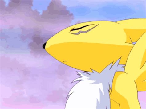 Renamon Digimon Gif Renamon Digimon Digimon Tamers Discover Share