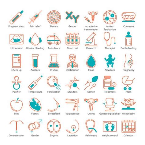 Ivf Illustrations Royalty Free Vector Graphics And Clip Art Istock