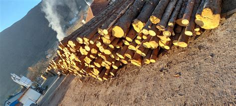 Rezana GraĐa Mit Berane