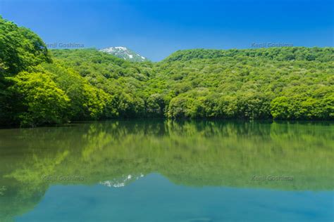 「蔦沼」朝日で真っ赤に染まるブナ林の紅葉、初夏の神秘的な水鏡が美しい ピクスポット 絶景・風景写真・撮影スポット・撮影ガイド・カメラ
