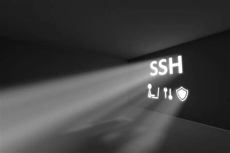 如何在 Termius SSH GUI 中使用身份