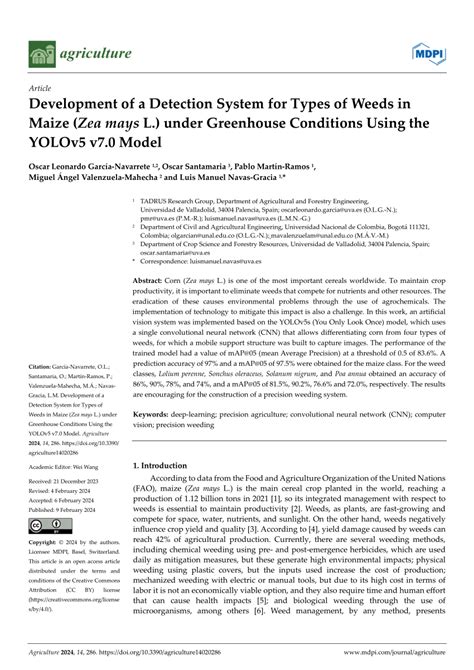 PDF Development Of A Detection System For Types Of Weeds In Maize
