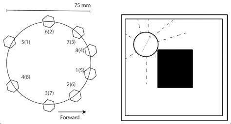 Schematic Representation Of The E Puck Robot And The Environment Download Scientific Diagram
