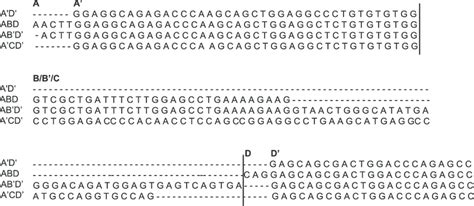 Comparison Of Sequence Of Hsp A 5 Utr Splice Variants Exons Of Sp A