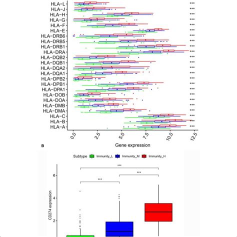 A Comparison Of Expression Of Multiple Hla Genes Among Three Mibc Download Scientific