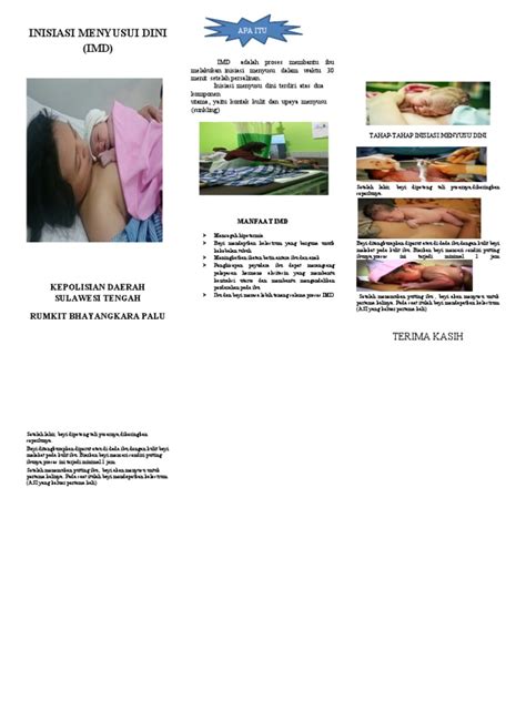 Leaflet Imd Pdf