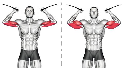 Best Bicep And Tricep Exercises For Big Arms Youtube