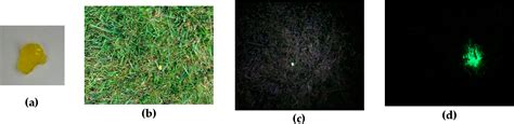 Figure 1 From Opportunities For Persistent Luminescent Nanoparticles In Luminescence Imaging Of