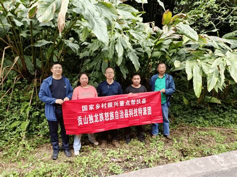 干部人才“组团式”帮扶 国家科技特派团云南贡山特派团及贡山县科技特派队开展科技调研服务草果产业情况