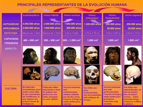 La Geografía y la Historia a nuestro alcance Cuadro resumen del proceso de hominización