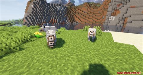 Shiny S Entity Models Plus Resource Pack Texture
