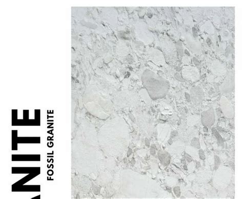 Granite Fossil Granite At In Mumbai Id 2853632114788