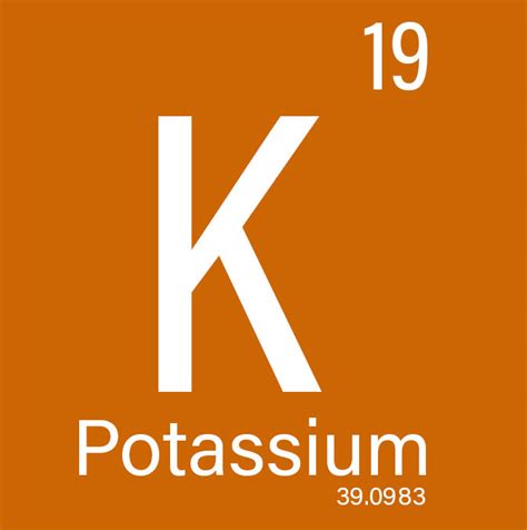 Nutrition 101 Find Out Why Your Body Need Potassium Food Health