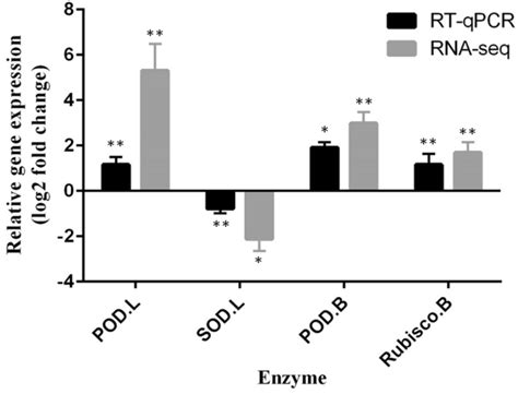 validation of rna seq results by q rt pcr reaction regarding the