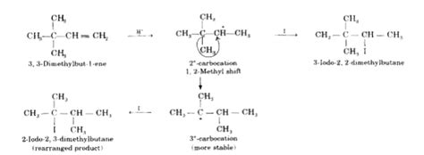 3 3 Dimethylbut 1 Ene Reacts With Hi To Form 3 Iodo 2 2