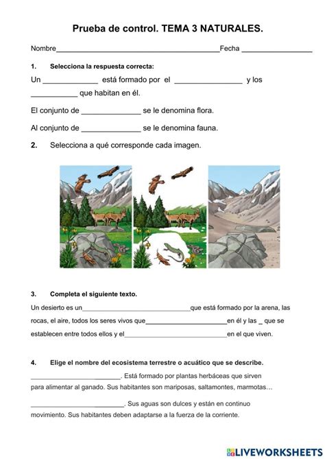 Note Cards Exercises