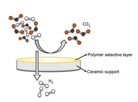 Membranes Free Full Text Gas Separation Properties Of Polyimide