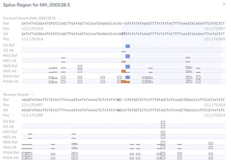 Revisiting The Five Splice Site Algorithms Used In Clinical Genetics