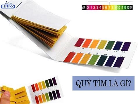 Giấy quỳ tím là gì Phân loại và ứng dụng của chất chỉ thị màu