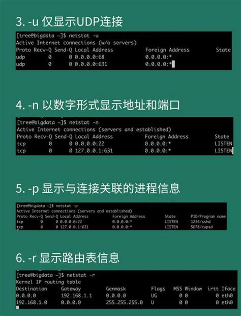 linux 命令 netstat netstat：监控tcp ip网络的实用工具及输出信息介绍 linux命令大全 手册