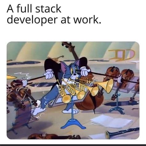 A Full Stack Developer Super Funny