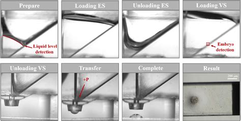 Figure 12 From Microfluidics Enabled Robotic System For Embryo Vitrification With Real Time