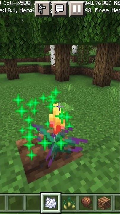 Torchflower Youtube