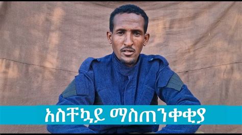 ከ አማራ ፋኖ በጎጃም የተሰጠ አስቸኳይ ማስጠንቀቂያ Wildlife Trump Ethiopian Youtube