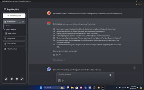 Anything Llm Winpoin