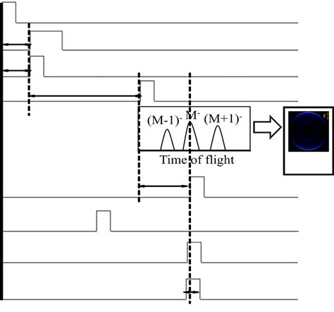 Timing Diagram Of Anion Photoelectron Imaging Experiment Download Scientific Diagram