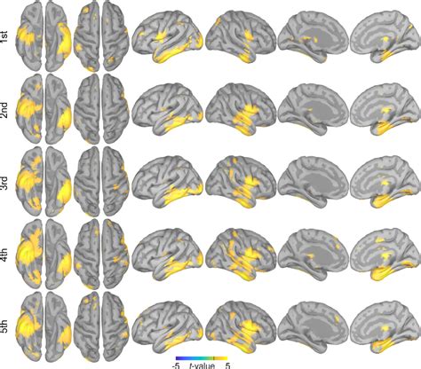 Cortical Engagement For Five Temporal Windows Defined Over The Story Download Scientific