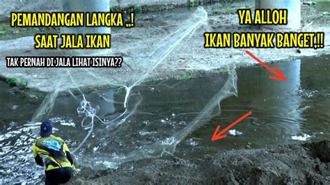 JALA IKAN DI SUNGAI MENYERGAP KAWANAN IKAN DAPAT BANYAK YouTube