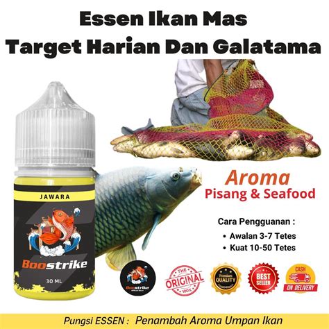 Jual Essen Ikan Mas Indukan Dan Rame Aroma Amis Wangi Paling Terlaris Shopee Indonesia