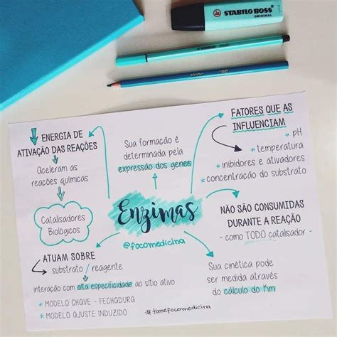 Mapas Conceptuales Bonitos Geno