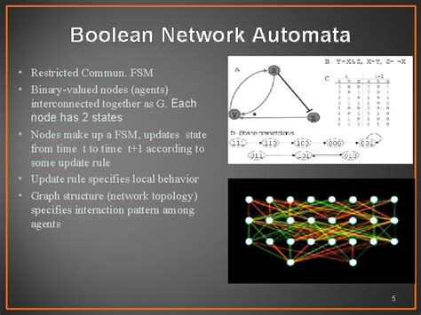 Boolean Network Models Of Collective Dynamics Of Open