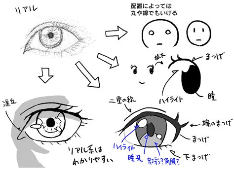 Animecglab