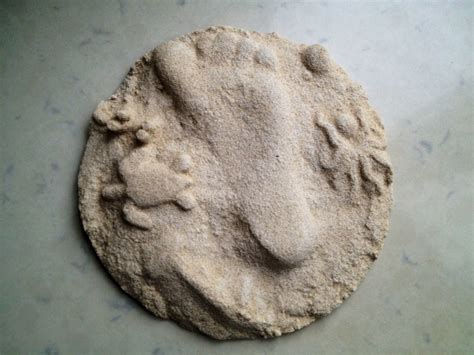 Sand Cast Plaster Fossils