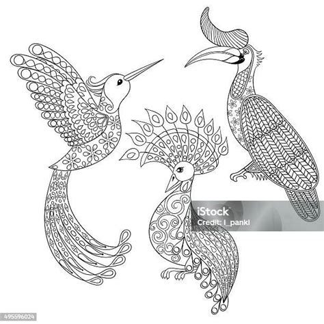 หน้าระบายสีกับแรดนกนกฮัมมิงเบิร์ดและนกแปลกใหม่ ภาพประกอบสต็อก ดาวน์โหลดรูปภาพตอนนี้ ผู้ใหญ่