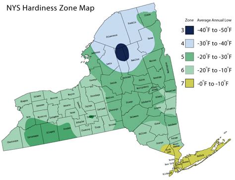 New York State Hardiness Zone Map Westchester Tree Life