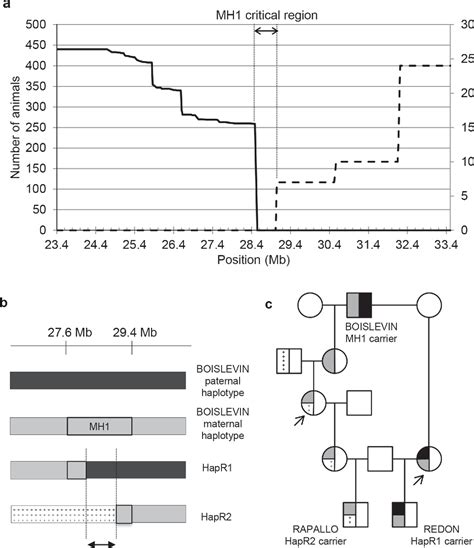 Figure 1 From A Missense Mutation In Pfas Semantic Scholar