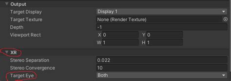 Single Eye Rendering With Unity XR And SteamVR Plugin Developer