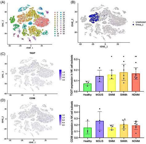 Cd155tigit Signalling Plays A Vital Role In The Regulation Of Bone