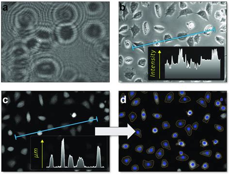 An Interference Pattern A Is Used To Reconstruct Holographic Images Download Scientific