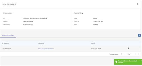 creating a router interface eranyacloud