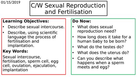 Fertilisation And Sexual Reproduction Teaching Resources