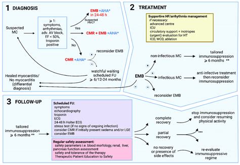 Schematic Depiction Of A Diagnosis Decision Making Process And Download Scientific Diagram