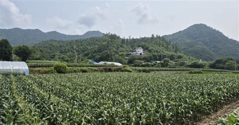 홍천군 벼·콩·팥 등 식량작물 보급종자 생산 본격화